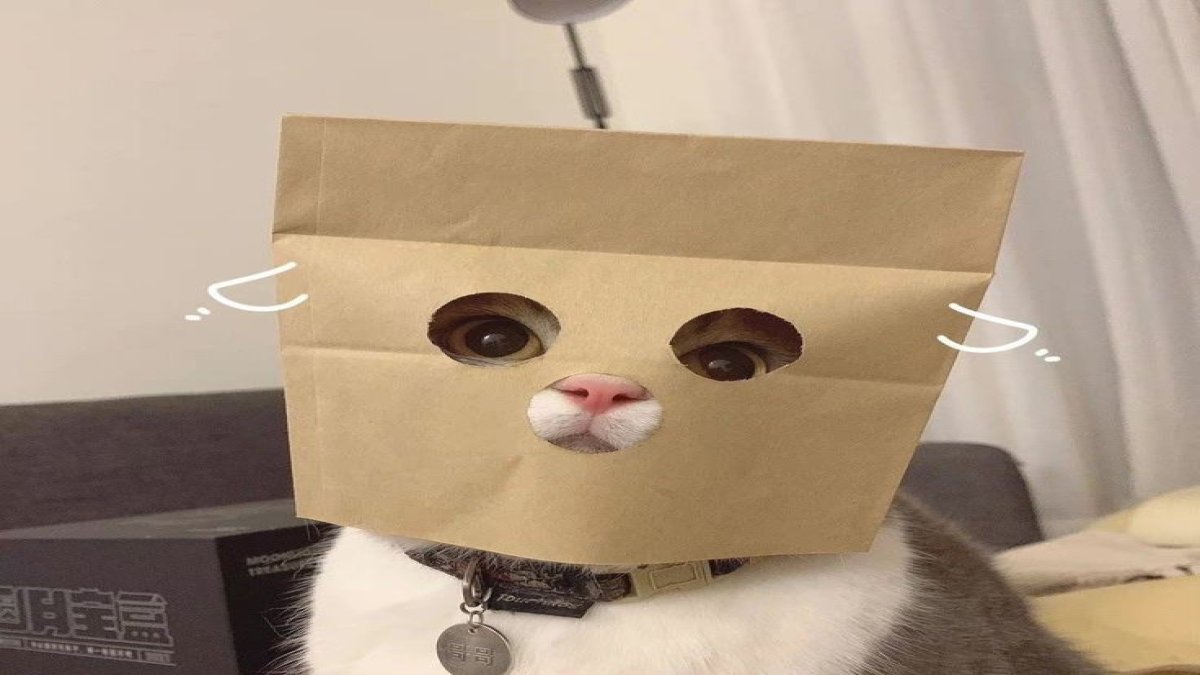 🎀คุณขี้อาย หรือ มั่นใจ😺🤍 - Quiz.Postjung.com