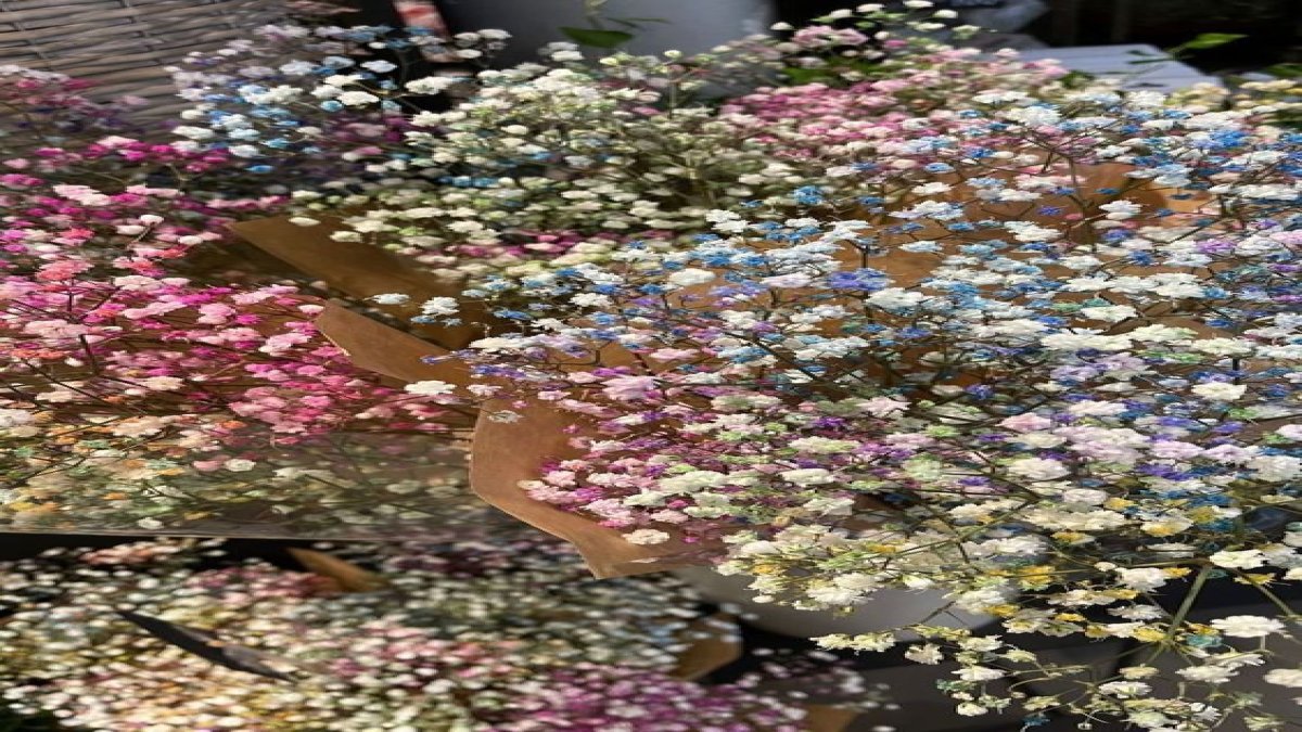 เมื่อคุณเป็นลูกคนรวย 2 - Quiz.Postjung.com