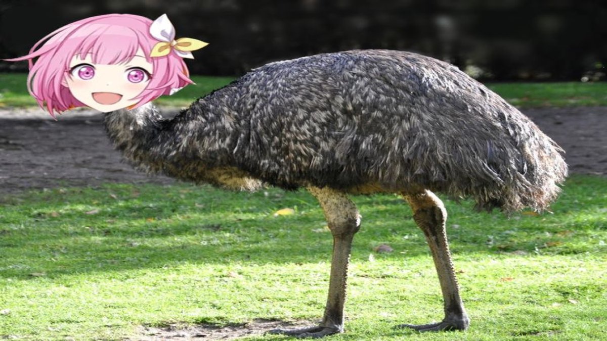 คุณติดเกม PJSK มากแค่ไหน? - Quiz.Postjung.com