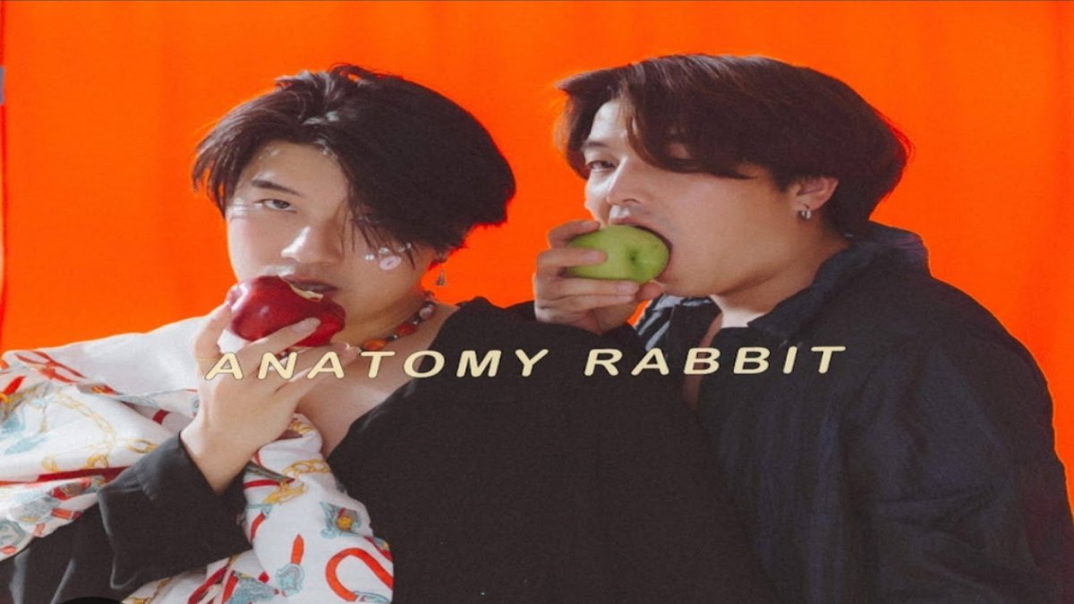 มาทายเพลงวง anatomy rabbit กัน - Quiz.Postjung.com