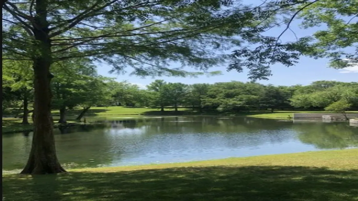 เมื่อคุณได้มาหาคุณตาคุณยายที่ชนาบท - Quiz.Postjung.com